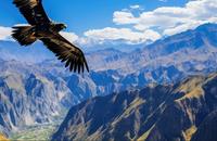 Absolute Peru | Holidays 2025/2026 | Flight Centre UK