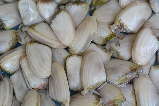 Eat Your Way Around New Zealand | Flight Centre UK