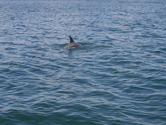 5 Reasons Why You Should Visit the Florida Panhandle | Flight Centre UK